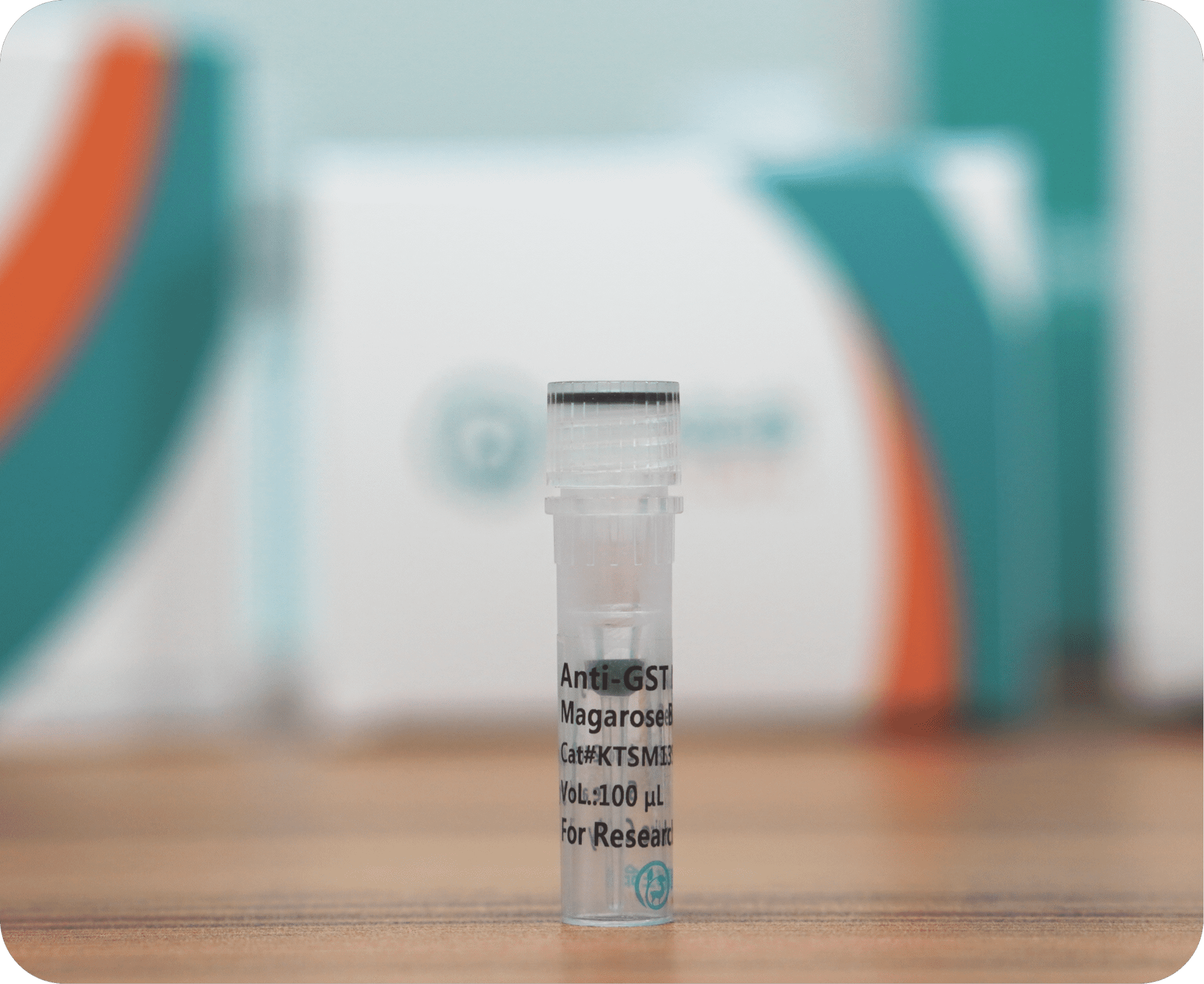 VHH纳米抗体天然文库筛选_GFP Beads_感受态细胞